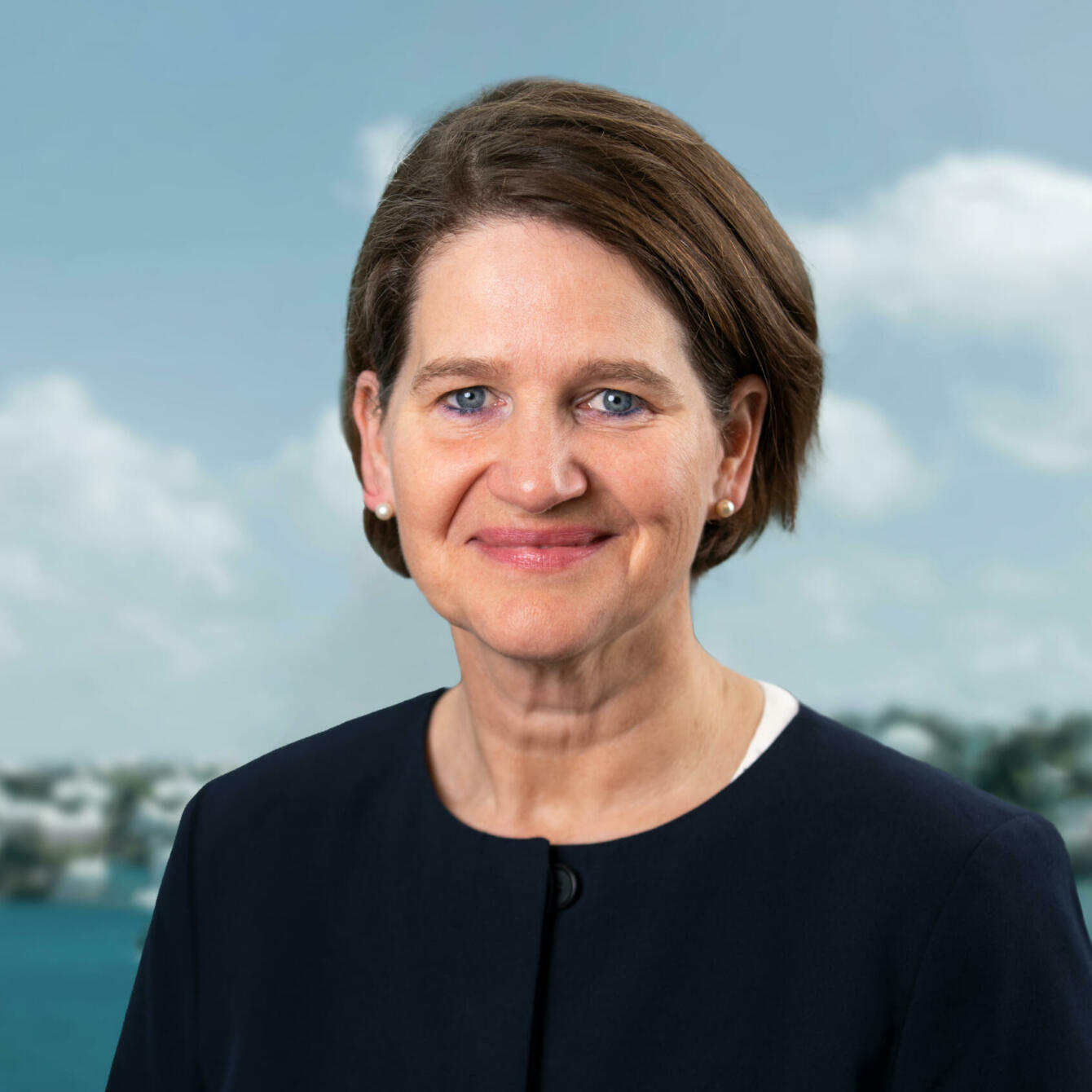 Convex Seascape Survey