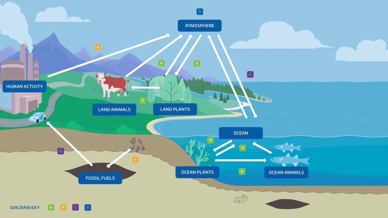 Education Hub | Convex Seascape Survey