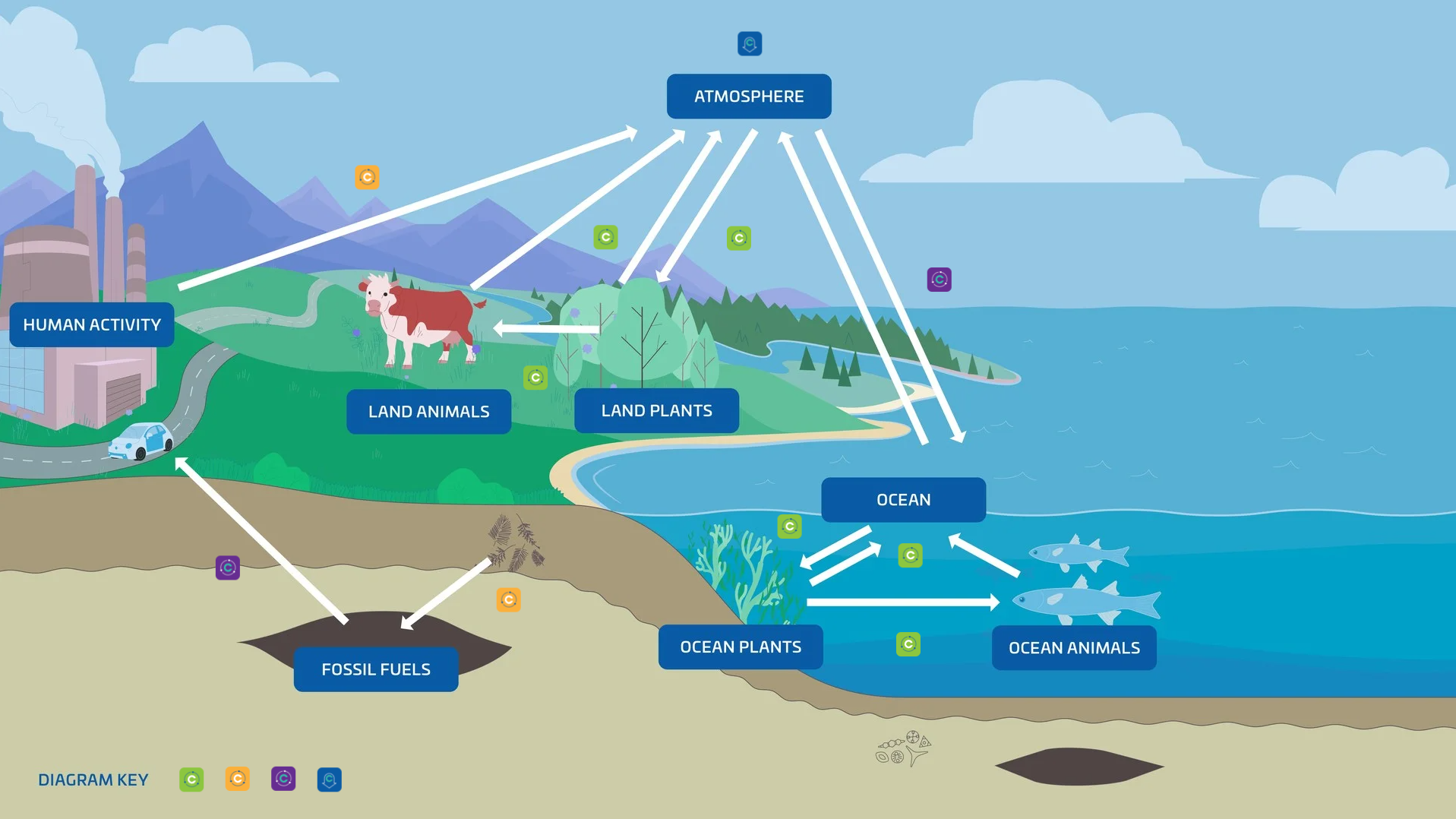 Education Hub | Convex Seascape Survey