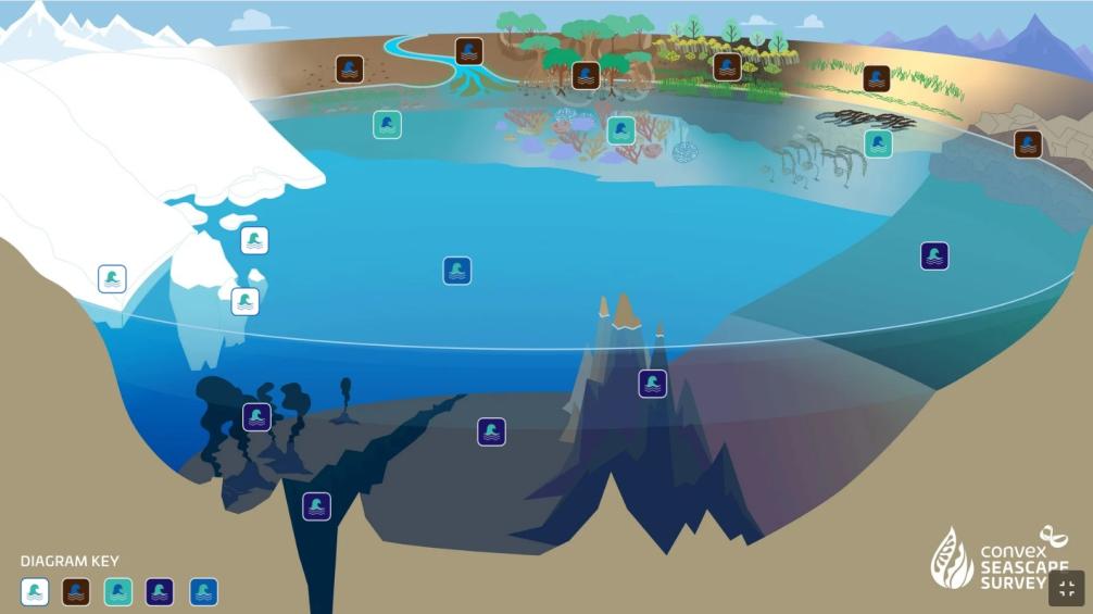 Education Hub | Convex Seascape Survey