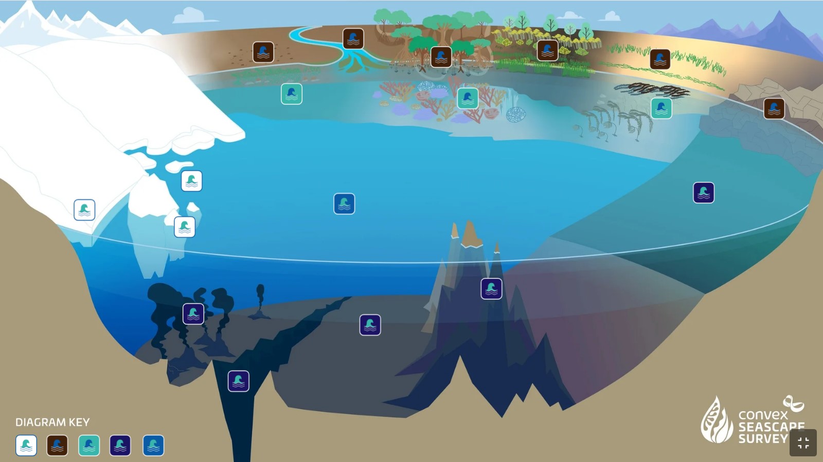 Exploring the ocean & climate in the classroom. - Convex Seascape Survey