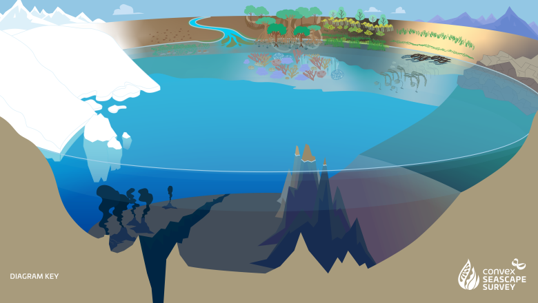 Exploring the ocean & climate in the classroom. - Convex Seascape Survey