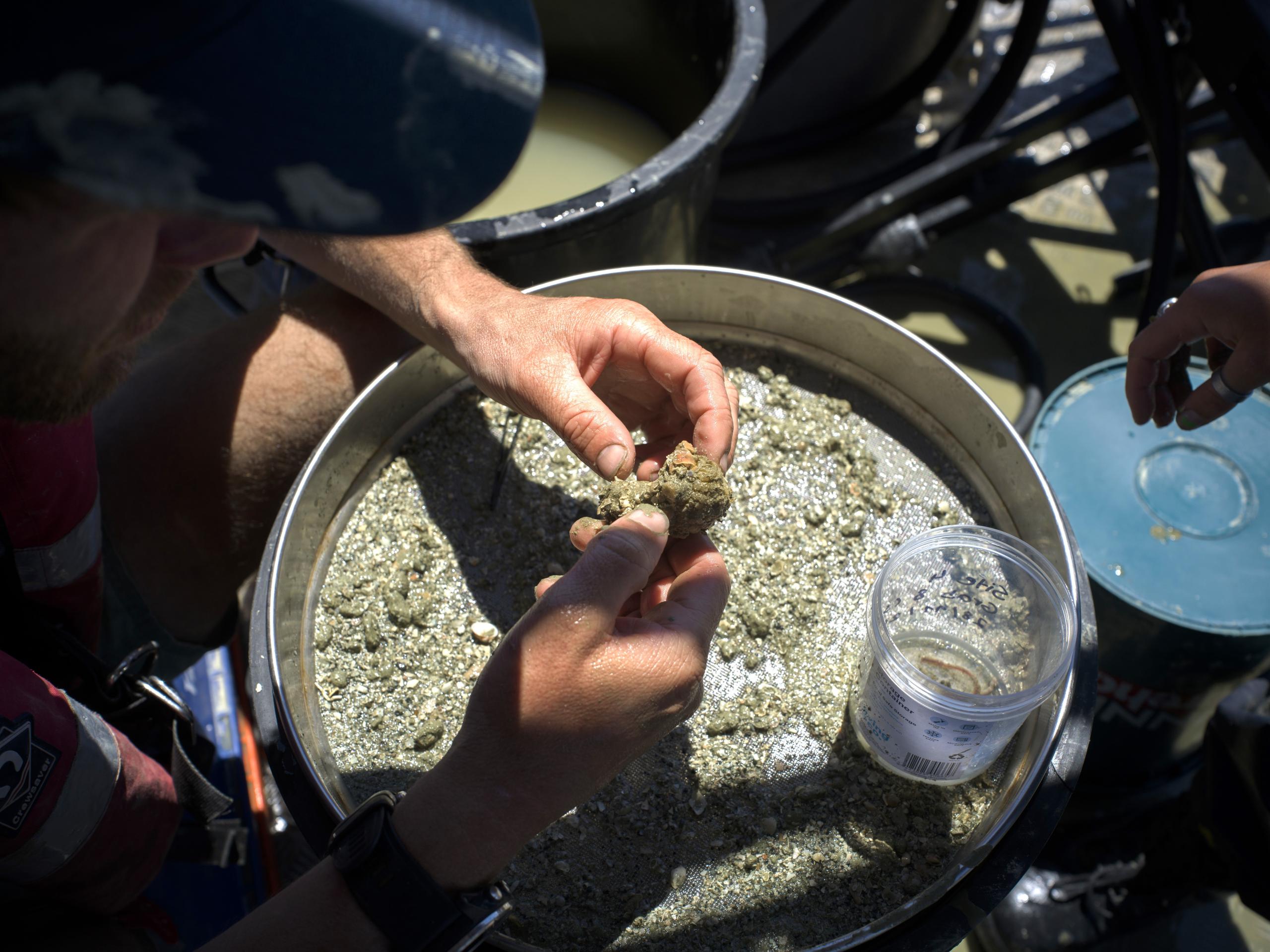 From fish poo to carbon credits: New Zealand publication The Spinoff ...